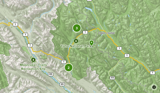 Trails in Yoho National Park | List | AllTrails