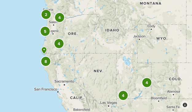 Oregon Coast Roadtrip Hiking Trails | List | AllTrails