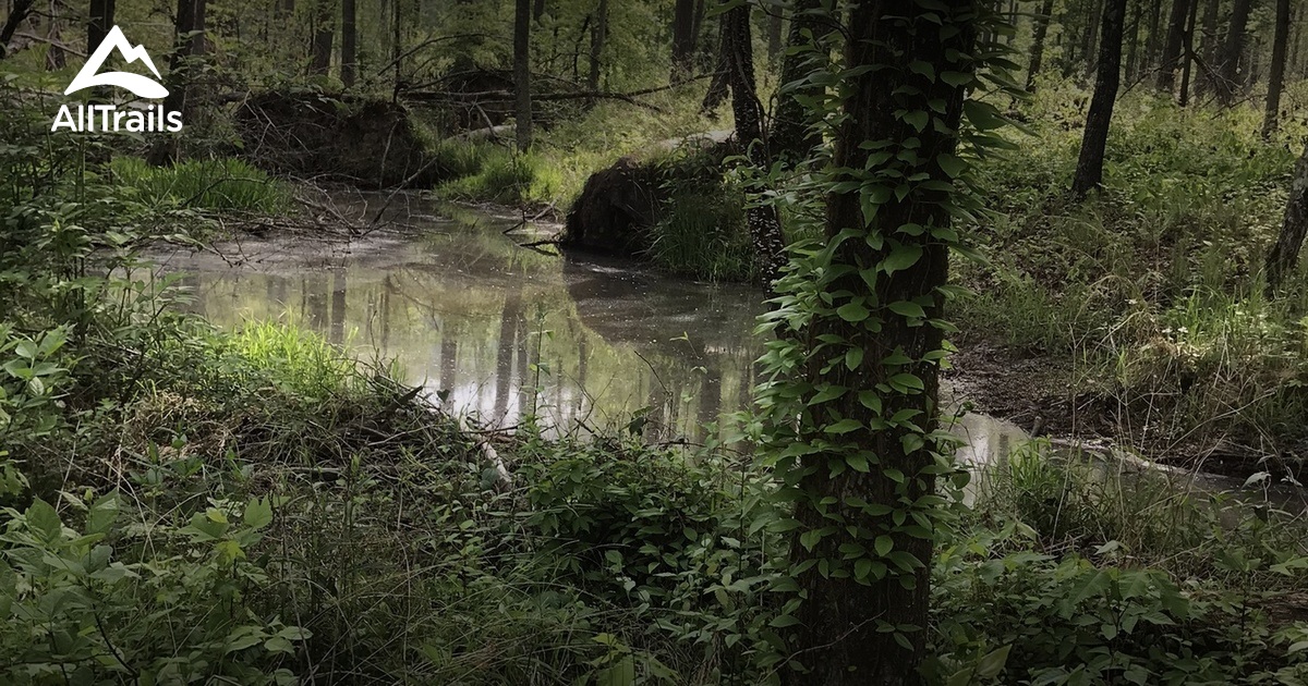 Day trip with 40s & 50s | List | AllTrails