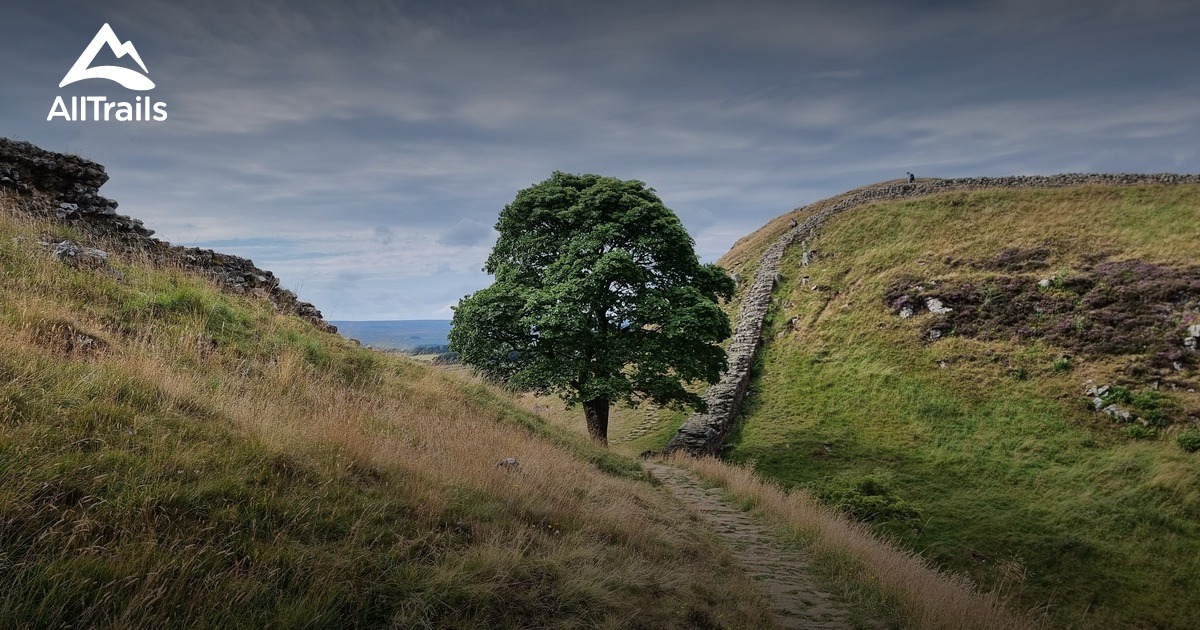 Walks around Hadrian’s Wall Country that you can reach using Go North ...
