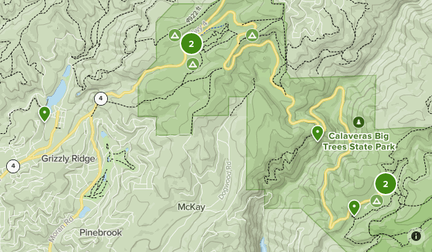 Calaveras Big Trees SP Trails | List | AllTrails