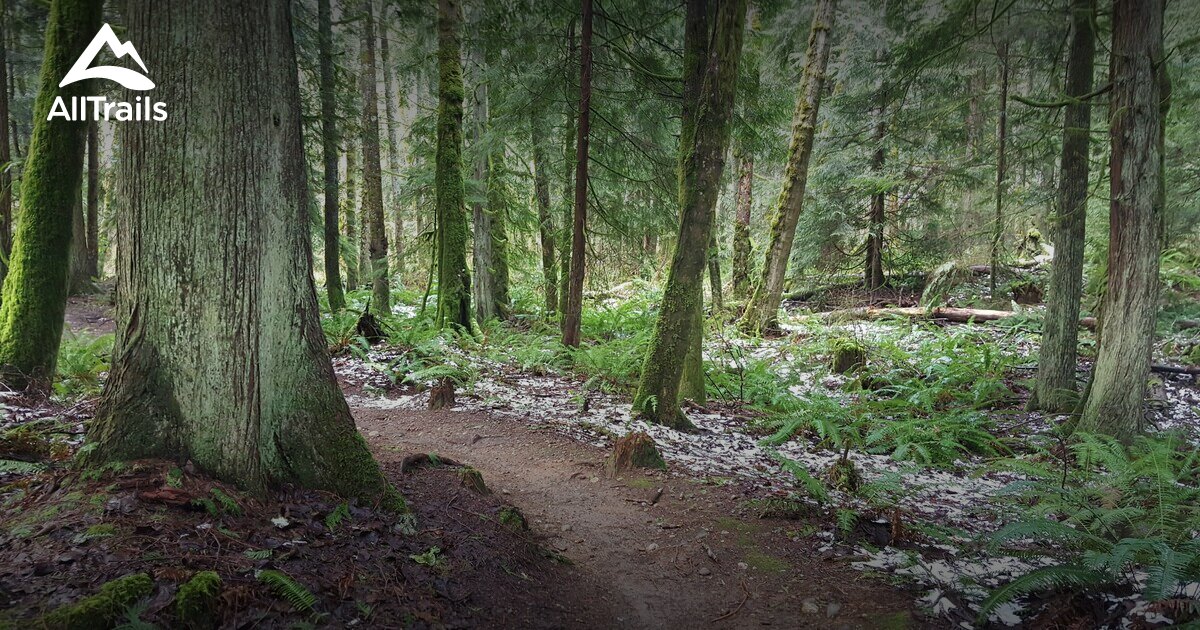 coal mine loop loop trail and following fir loop | List | AllTrails