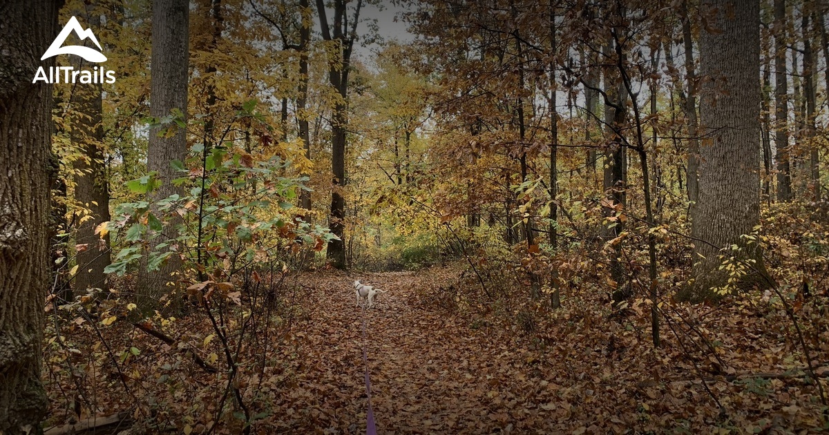 Bear Branch | List | AllTrails