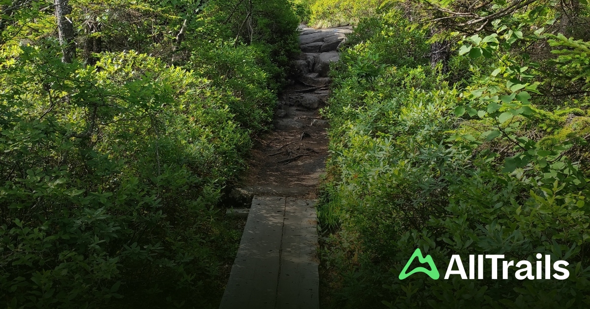 Schoodic area of Acadia Park | List | AllTrails