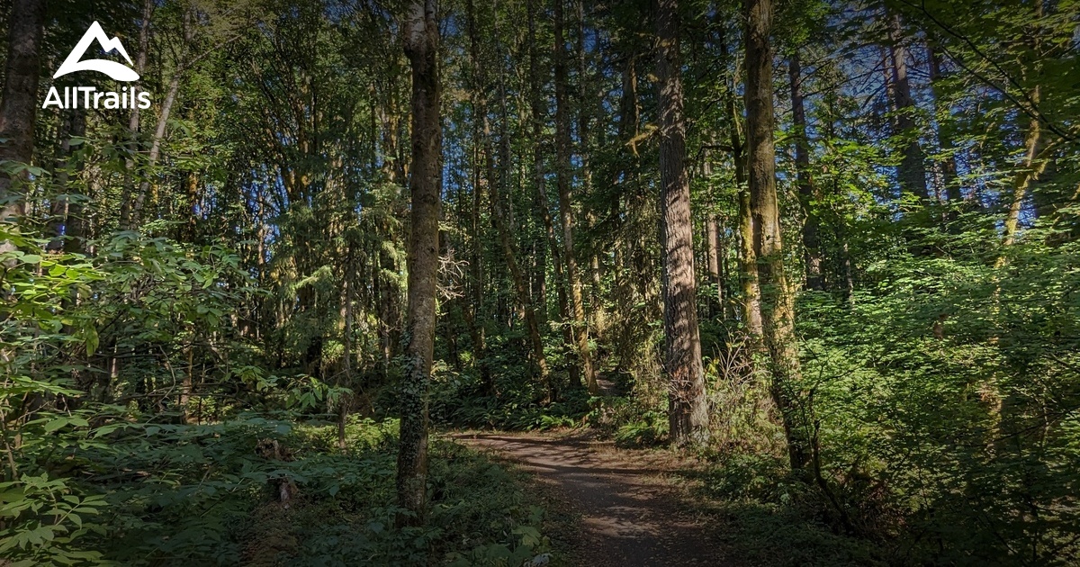 Portland Trails to Visit | List | AllTrails