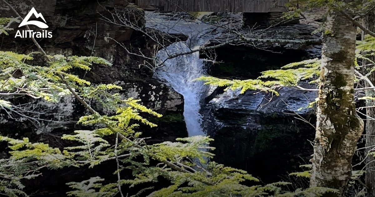 Winter Clove Trails | List | AllTrails