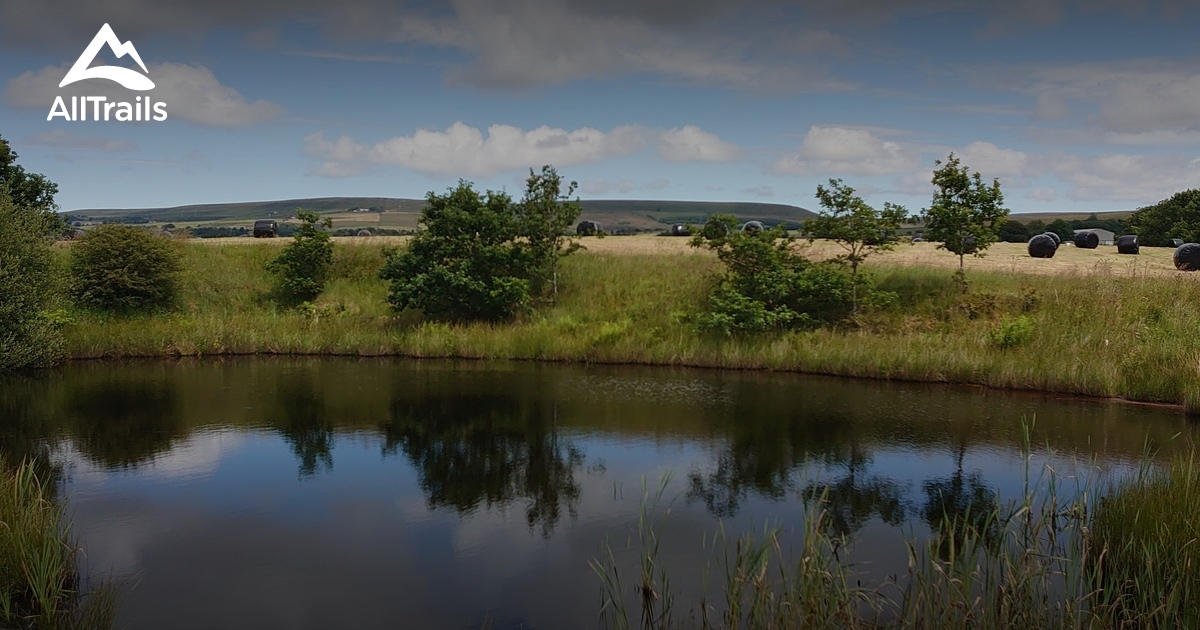 walking with clean | List | AllTrails