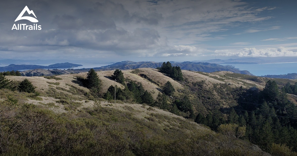 Best Marin trails | List | AllTrails