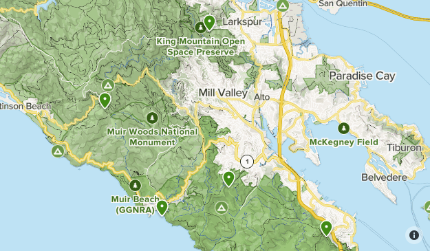 Best Marin trails | List | AllTrails