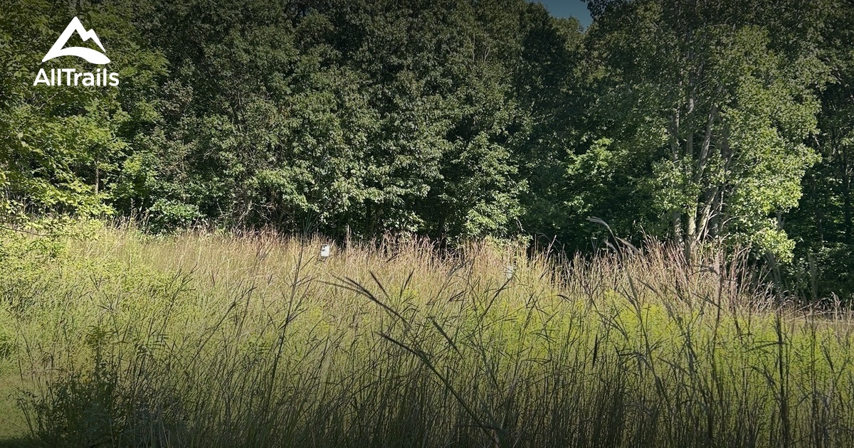 Waterloo - Green Lake | List | AllTrails