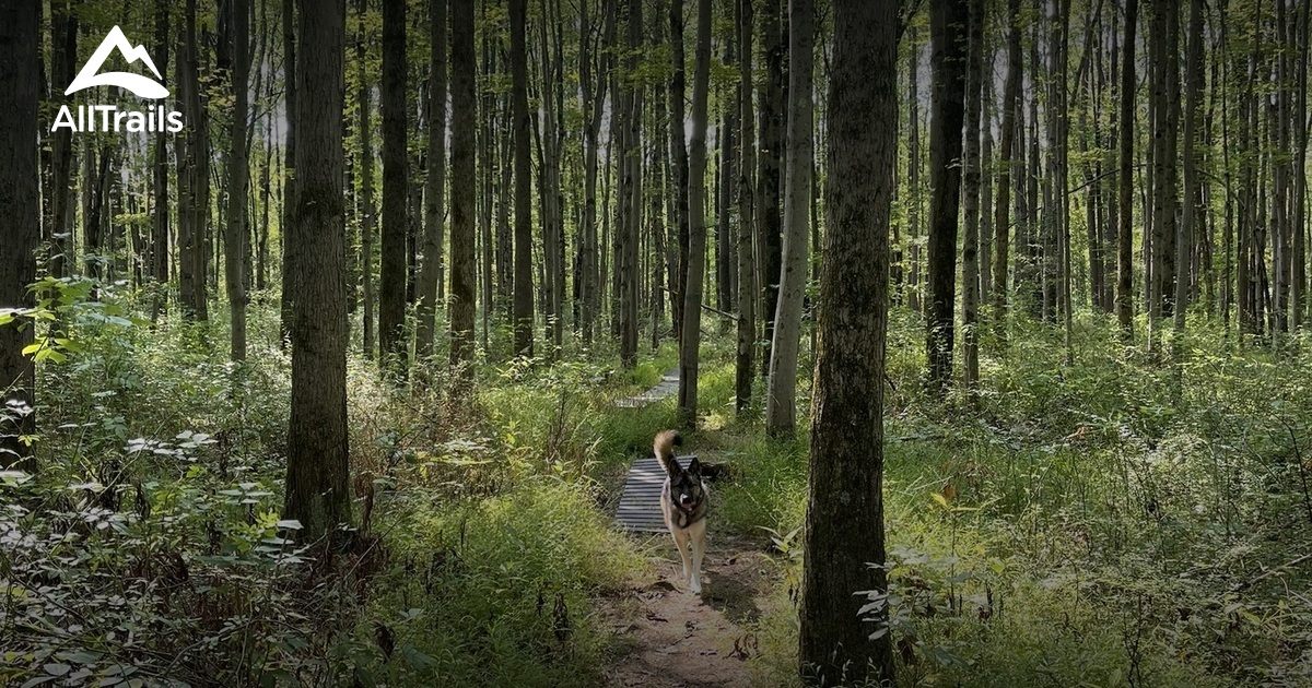 Best Lobo trails | List | AllTrails