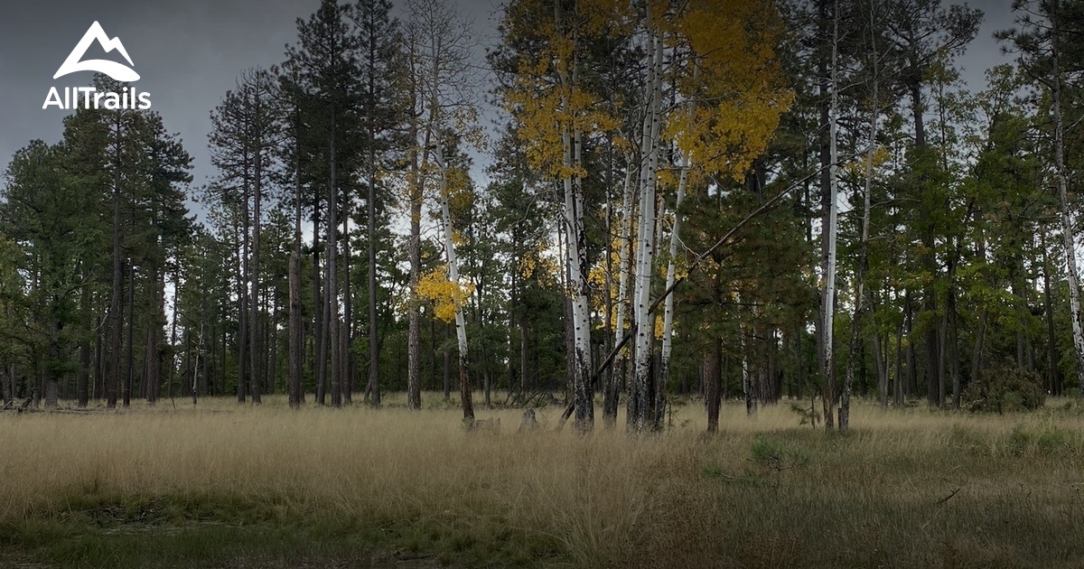 Christopher Creek Cabin | List | AllTrails