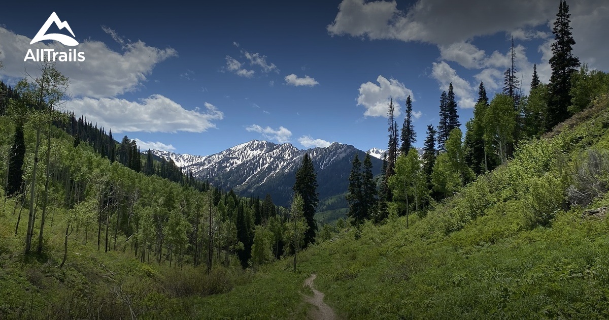 Swanson Memorial Park City 2021 | List | AllTrails