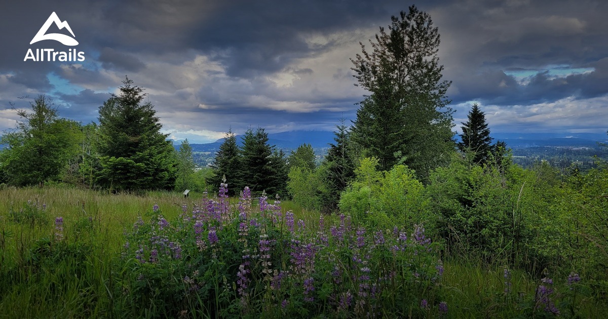 Views (but fake hike) | List | AllTrails