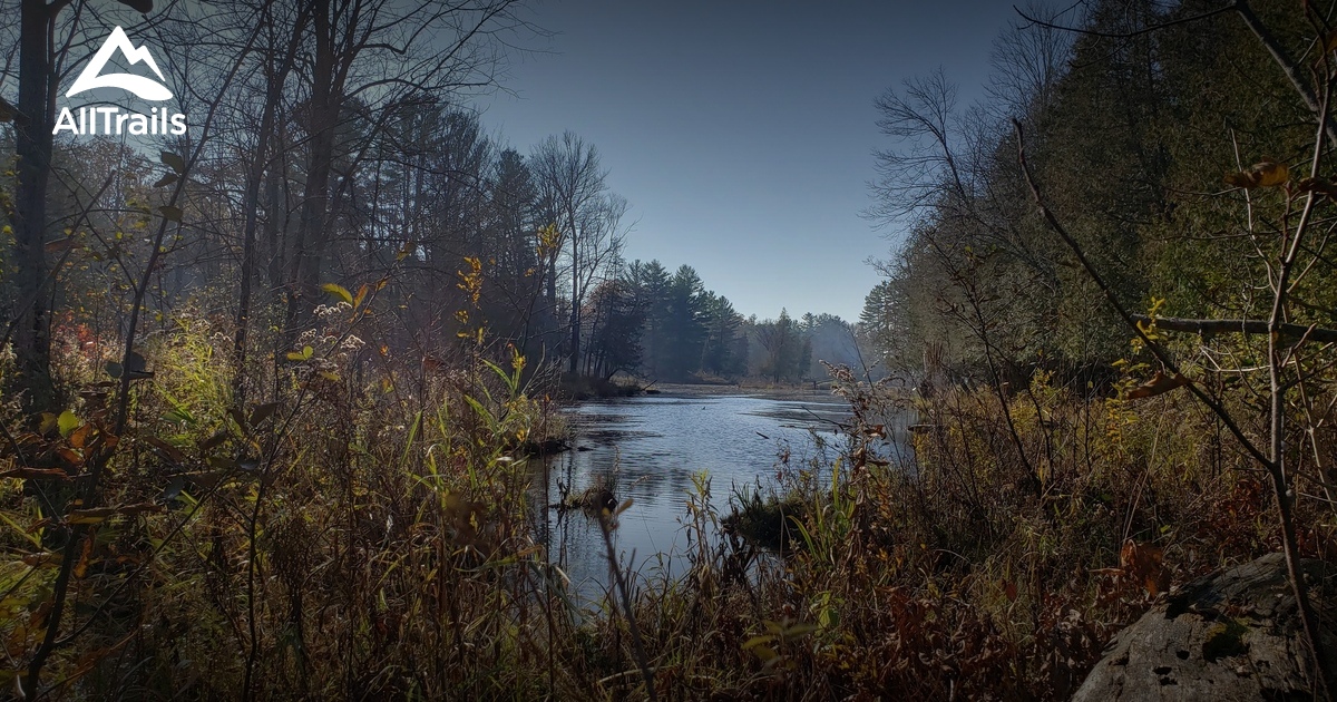 Stoney lake trails | List | AllTrails