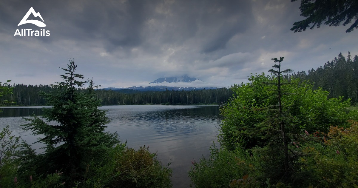 Mt Adams Log Camping | List | AllTrails