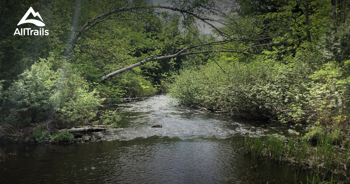 Halton Falls | List | AllTrails