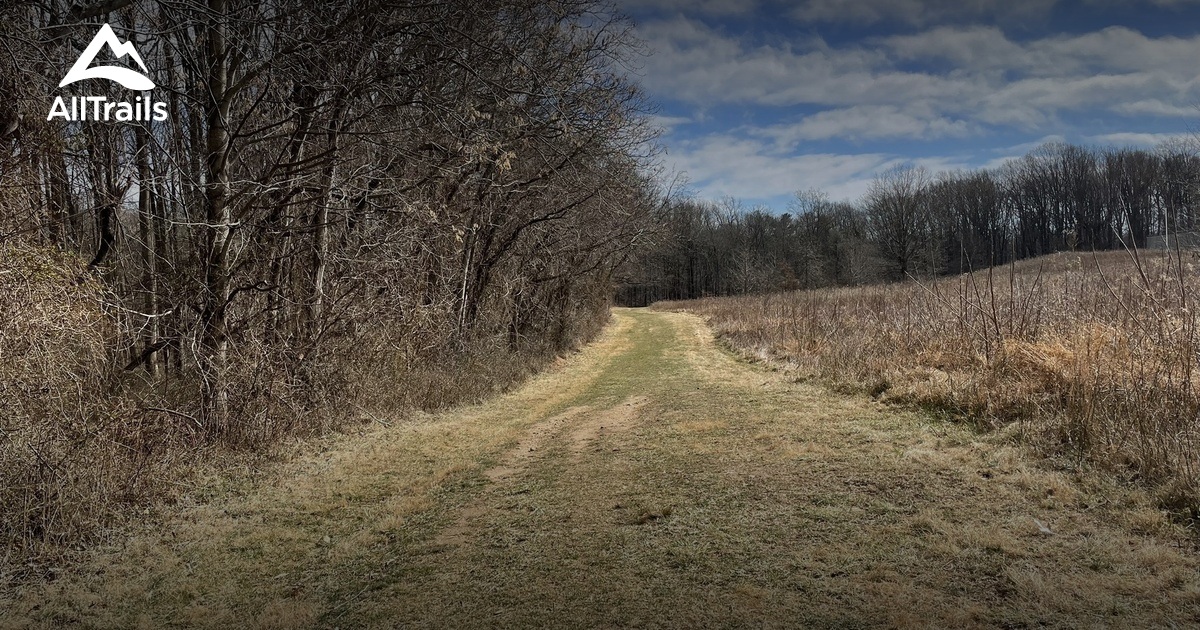 Shady zones | List | AllTrails