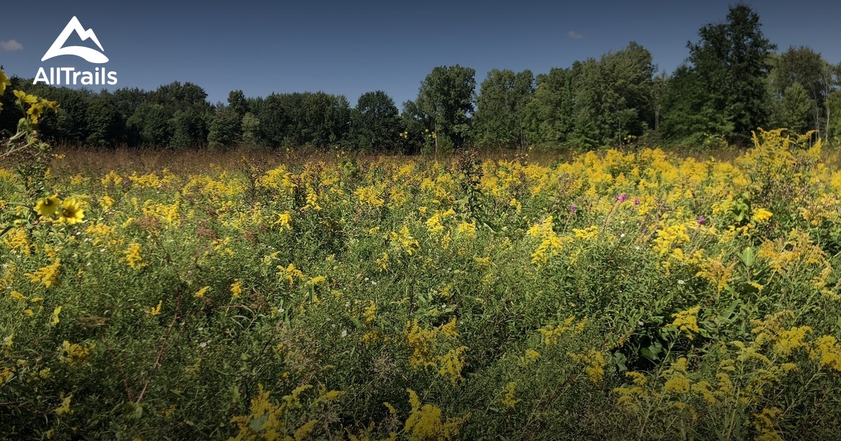 Algonac State Park | List | AllTrails