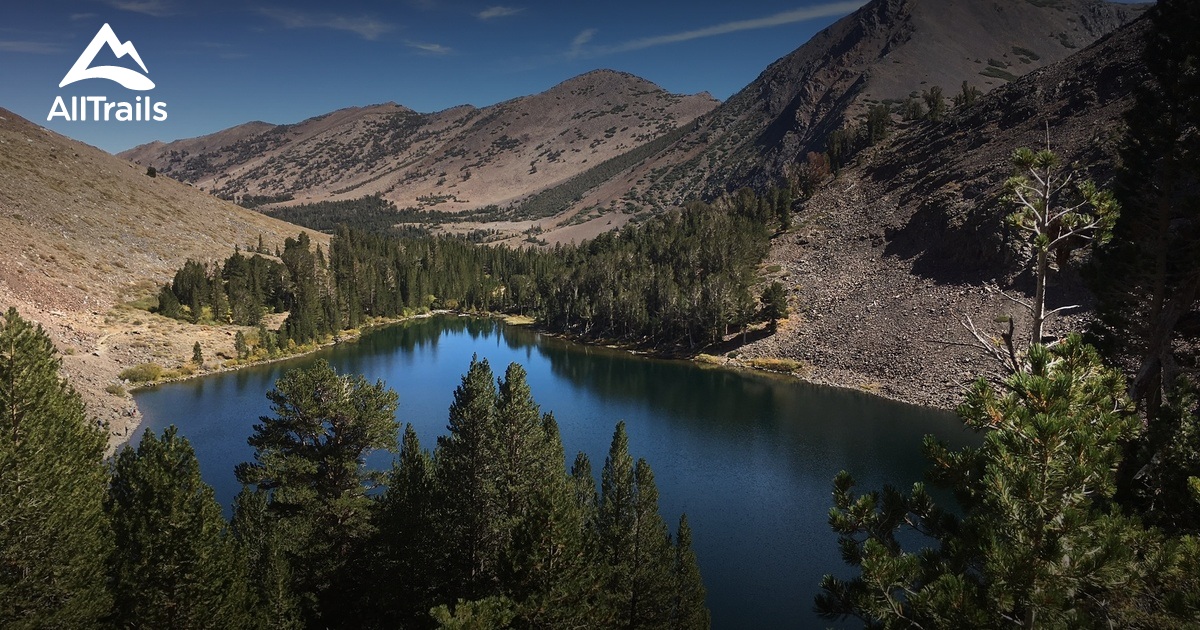 Virginia Lakes Trail | List | AllTrails