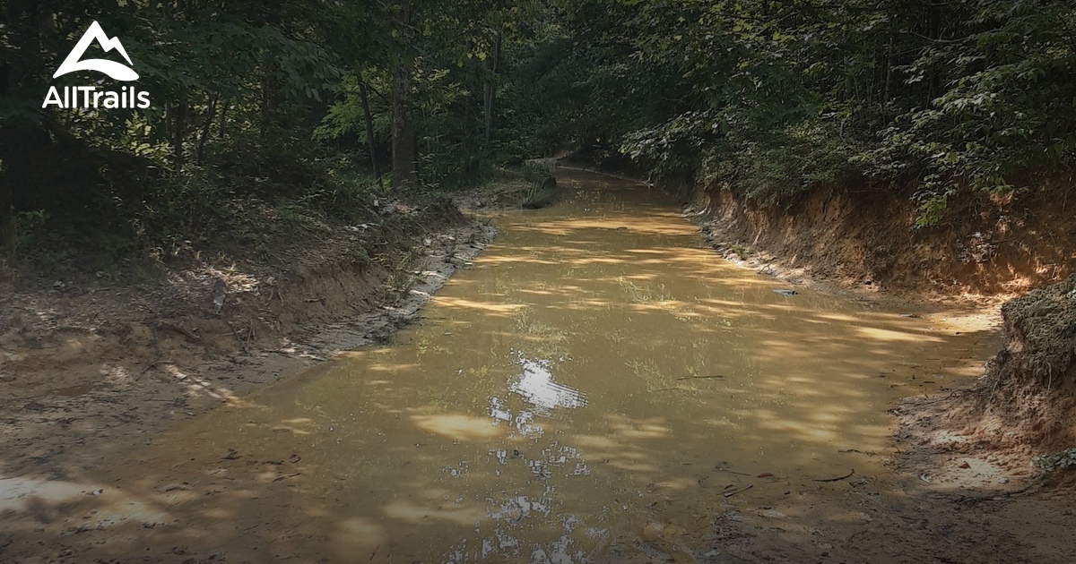 Windrock Park | List | AllTrails