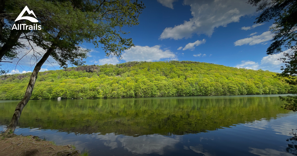 Pine tree trails | List | AllTrails