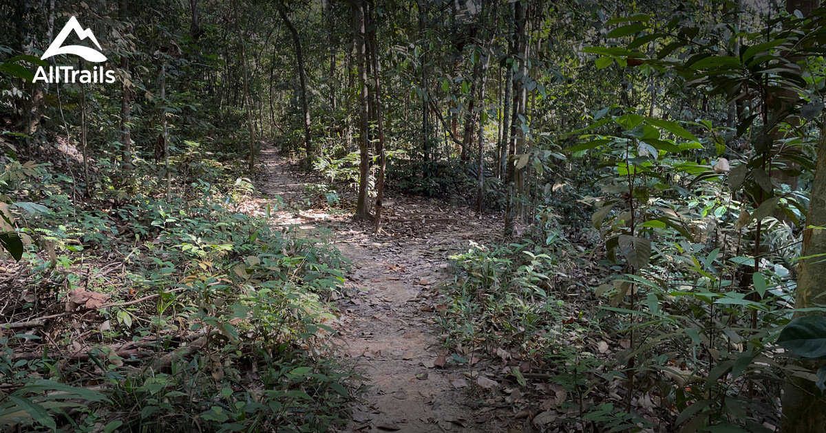 Kinrara short loop | List | AllTrails