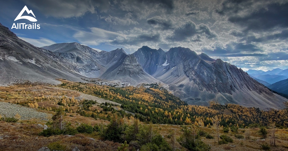 Larch | List | AllTrails