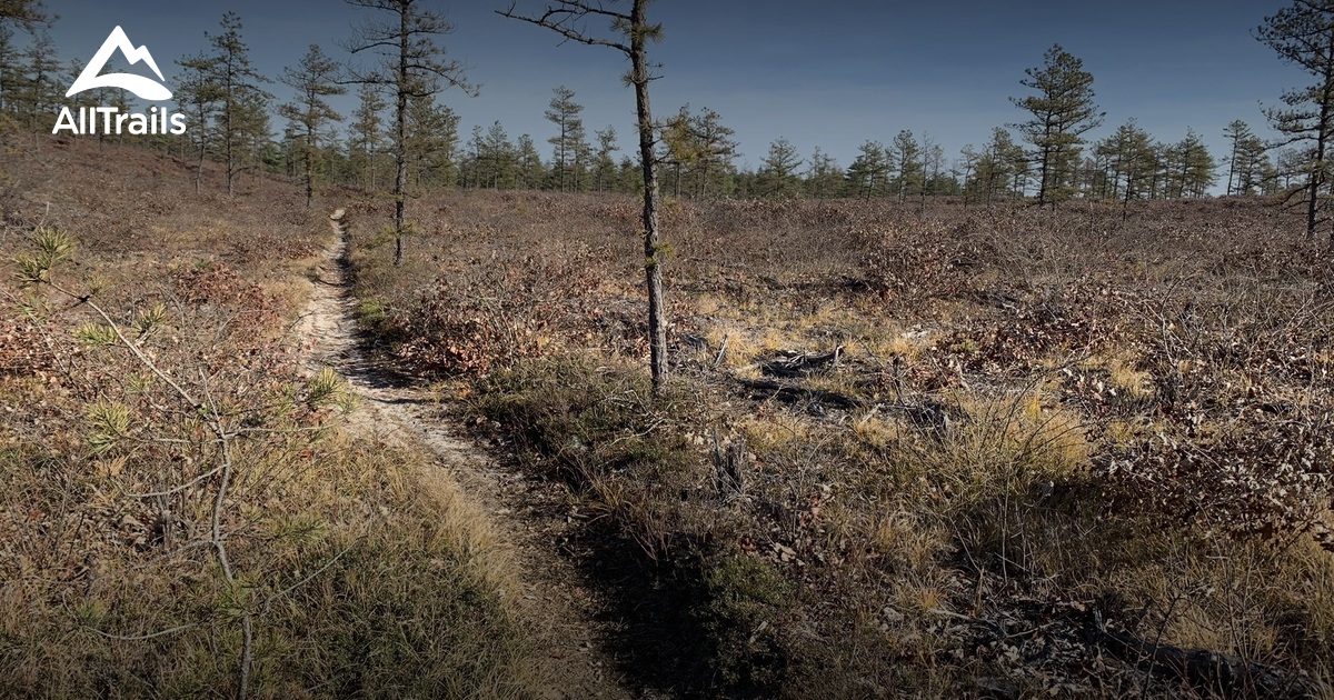 Myles Standish State Park | List | AllTrails