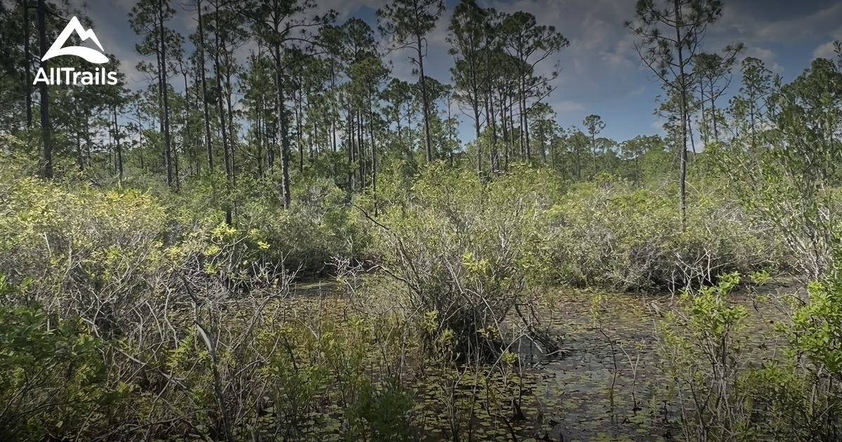 Orange Beach Runs | List | AllTrails