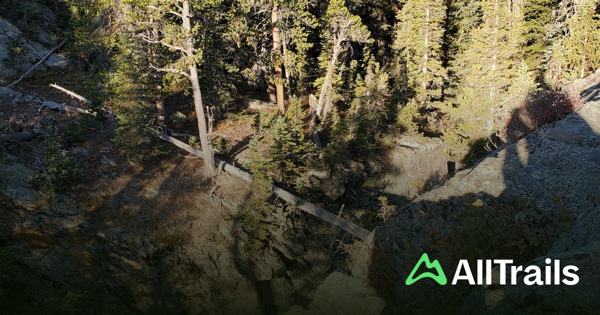 options near olive ridge campground | List | AllTrails
