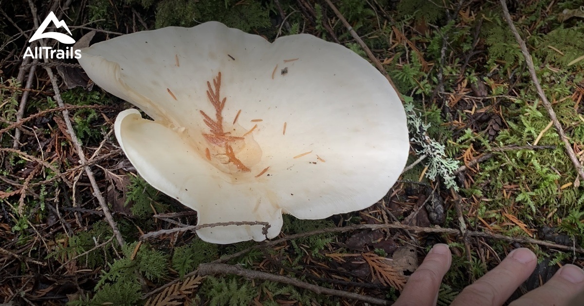 Neil’s routes | List | AllTrails