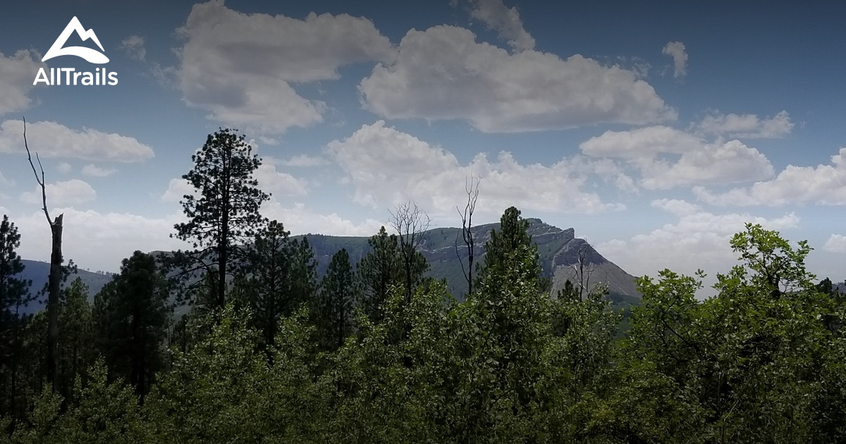 Junction Creek Area | List | AllTrails