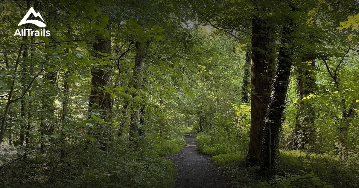 ATL -water | List | AllTrails