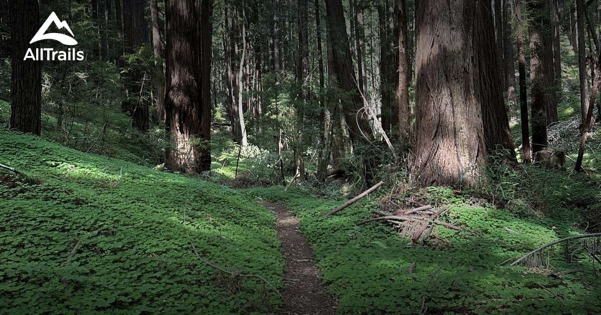 Portala redwood | List | AllTrails