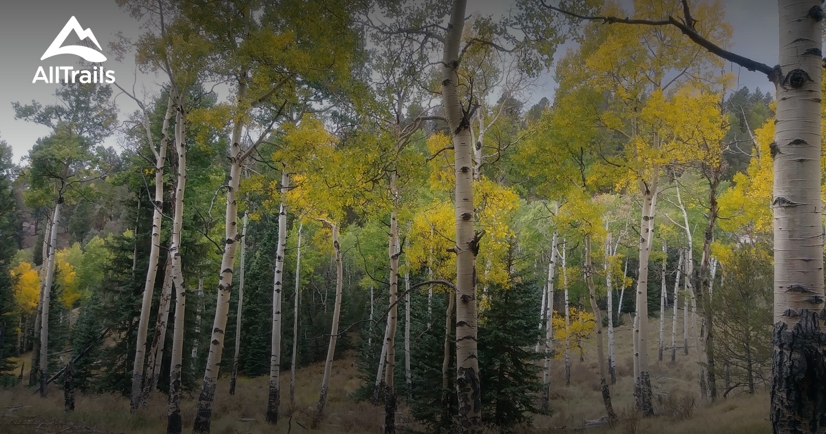 Mueller State Park | List | AllTrails