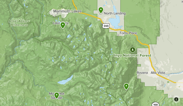 Alpine Forest | List | AllTrails