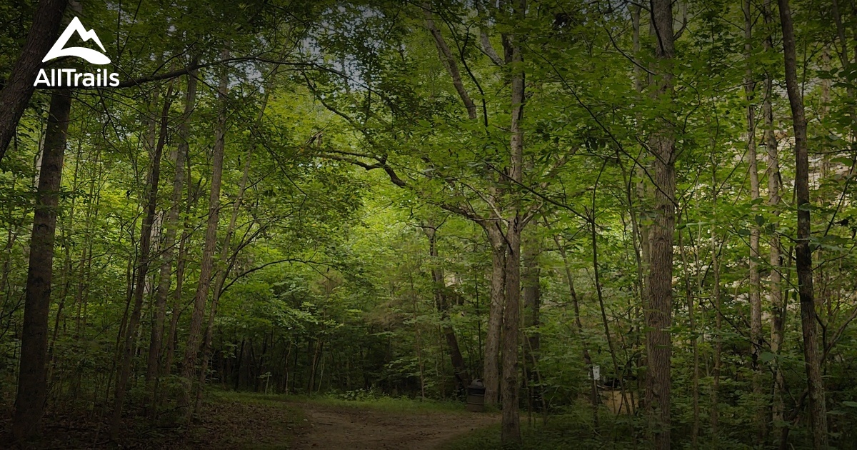 Fern Cliff State Park | List | AllTrails