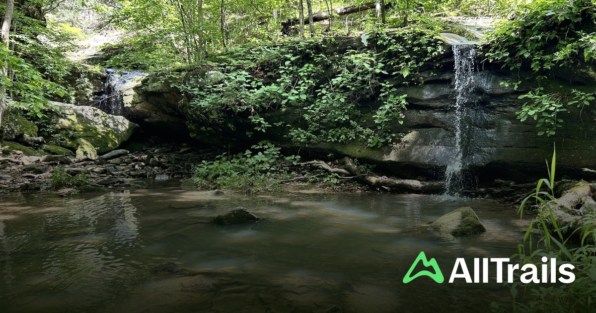 Fern Cliff State Park | List | AllTrails