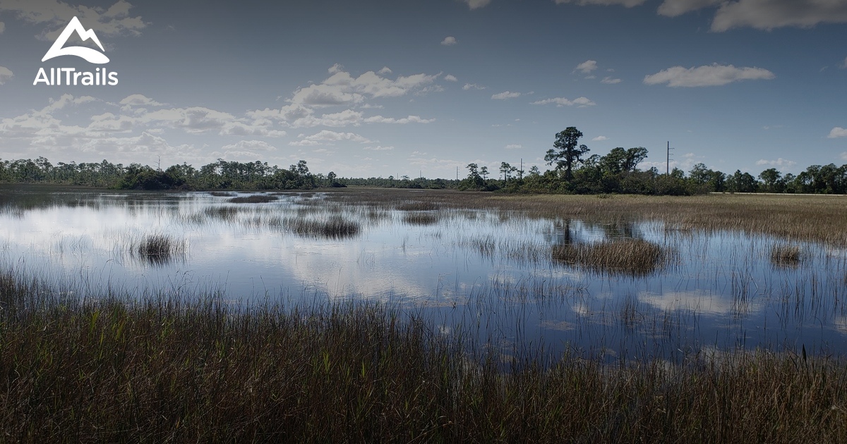 Martin County trails | List | AllTrails
