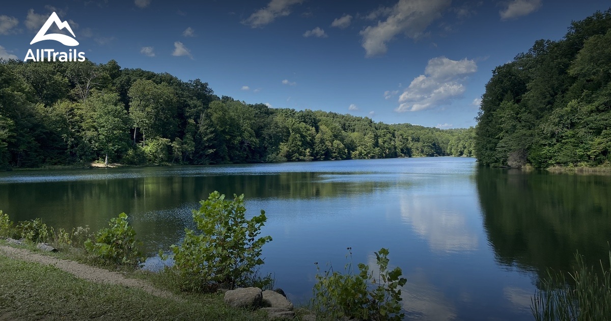 Red River Gorge Hikes | List | AllTrails