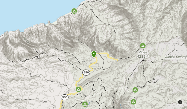 Kauai hikes-Kokee State Park | List | AllTrails