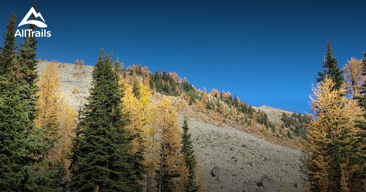 The Big List of Larch Hikes | List | AllTrails
