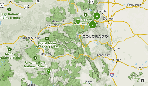 Aspen Trees | List | AllTrails