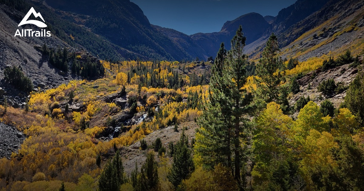 Fall Foliage - Eastern Sierras | List | AllTrails
