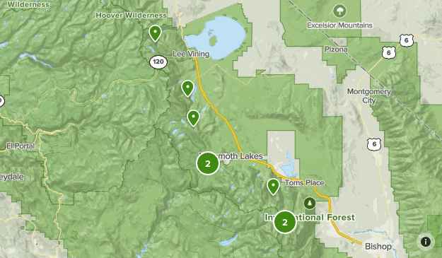 Fall Foliage - Eastern Sierras | List | AllTrails