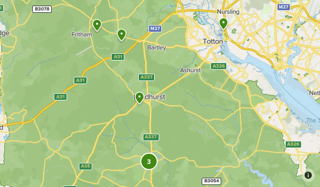 New Forest | List | AllTrails