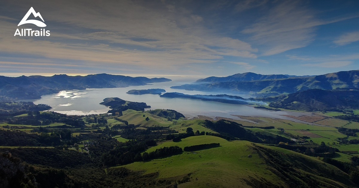 Local hikes | List | AllTrails