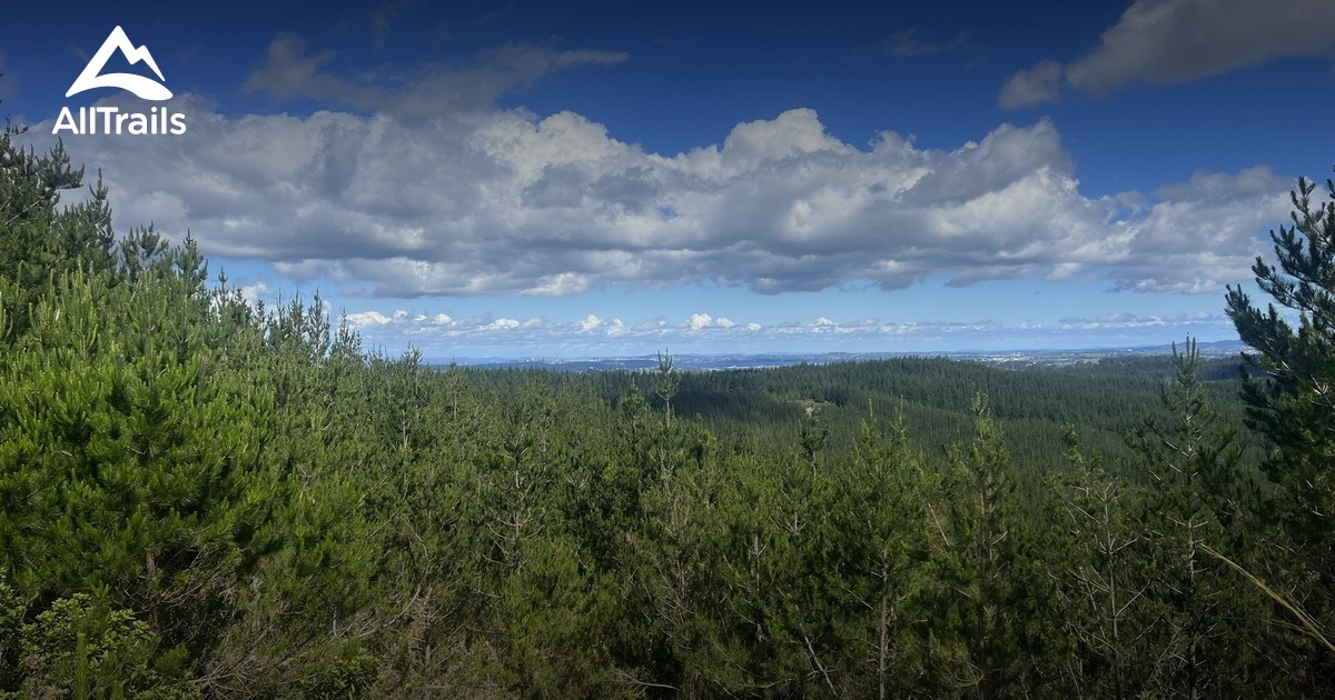 Waitakere Ranges | List | AllTrails