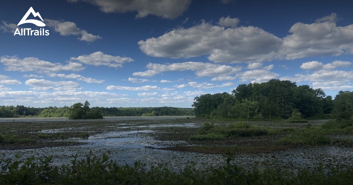 Random local hikes | List | AllTrails